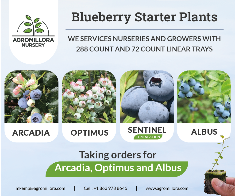 Florida Blueberry Growers Association